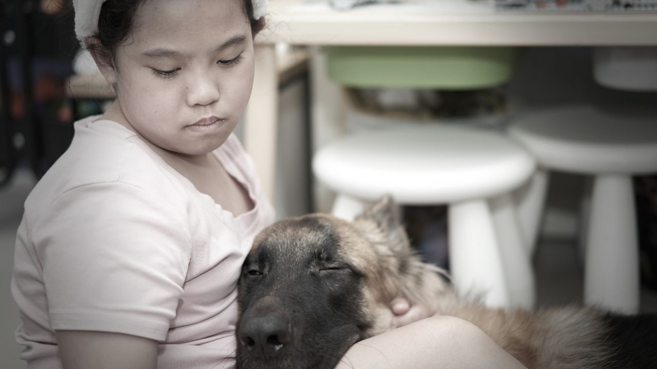 12 Highly Critical and Visible Signs Of Dog Dying! Pay Attention!