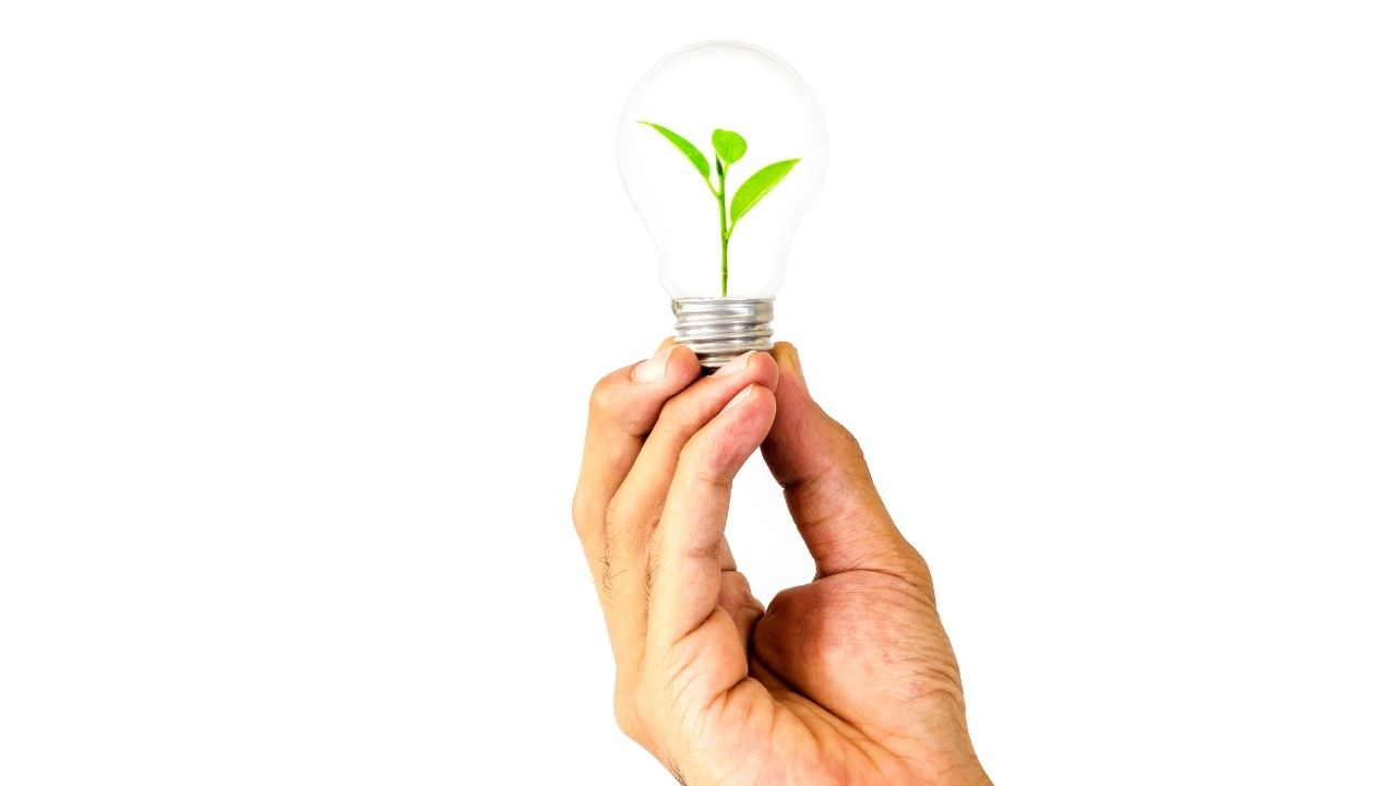 Learn How Technological Environment in Business Results in Better Future